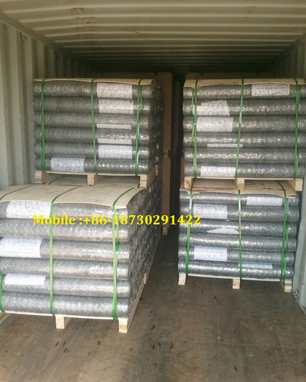 Plant Protection Hexagonal Wire Mesh