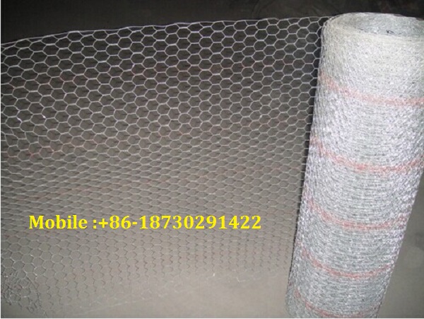 American Stucco Wire Netting (High Quality&Competitive Price)