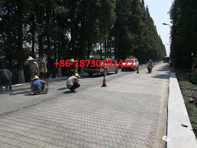 Road Mesh,Reinforced Hexagonal Wire Netting,Pavement Reinforcement Gabion