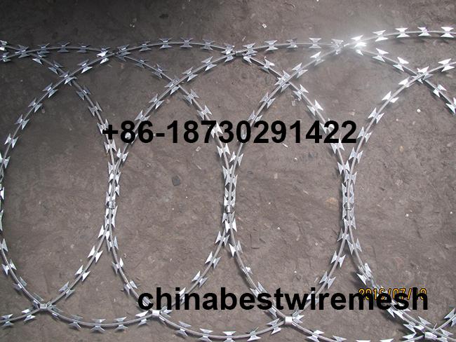 450mm coil diameter Razor wire flat wrap coils as a clapped into a flat ...