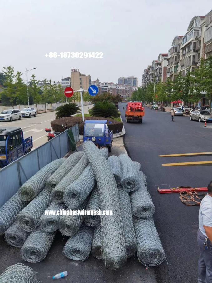 Galvanized reinforced hexagonal mesh asphalt pavement subgrade